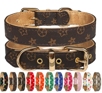 Collection of elegant Luxury Gold Dog Chain Collars and Leashes 2023 ...