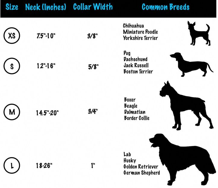 Guide to Measuring Your Dog for a Collar | Proper Sizing Tips – Big Dog ...